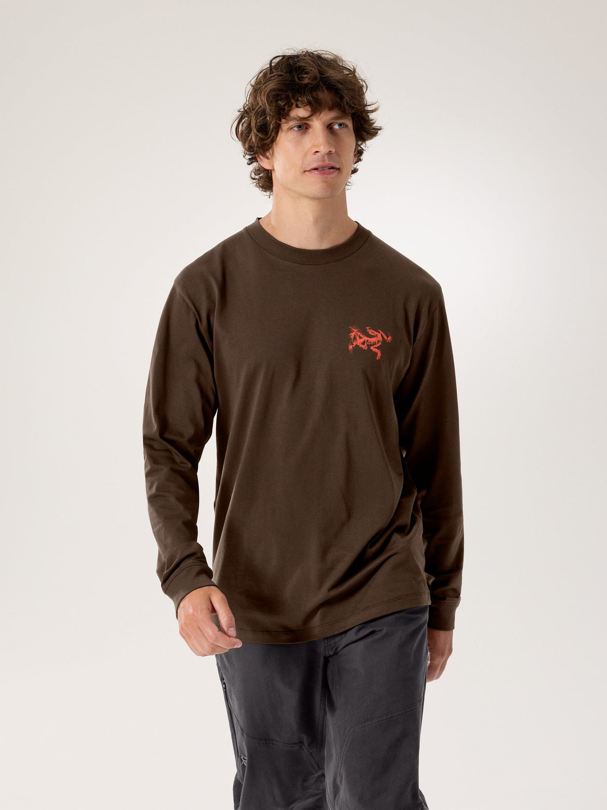 Arc'teryx Men Breathable Kragg SL Cotton Bird Tile Shirt LS Dark Brown ...
